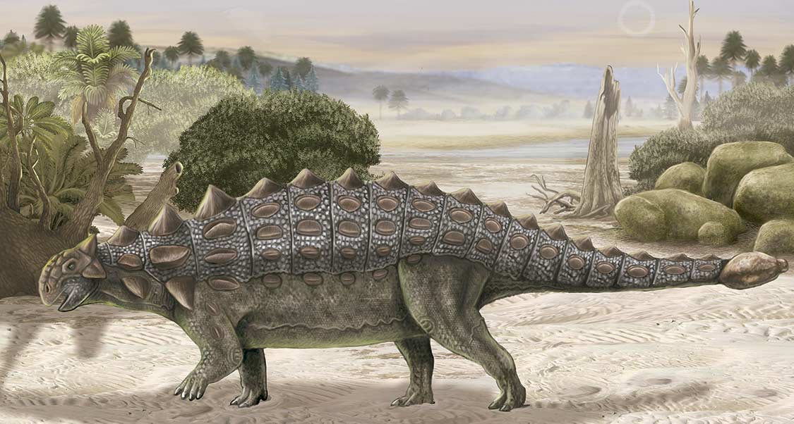 Meet These 10 Herbivorous Dinosaurs | Dinosaurland